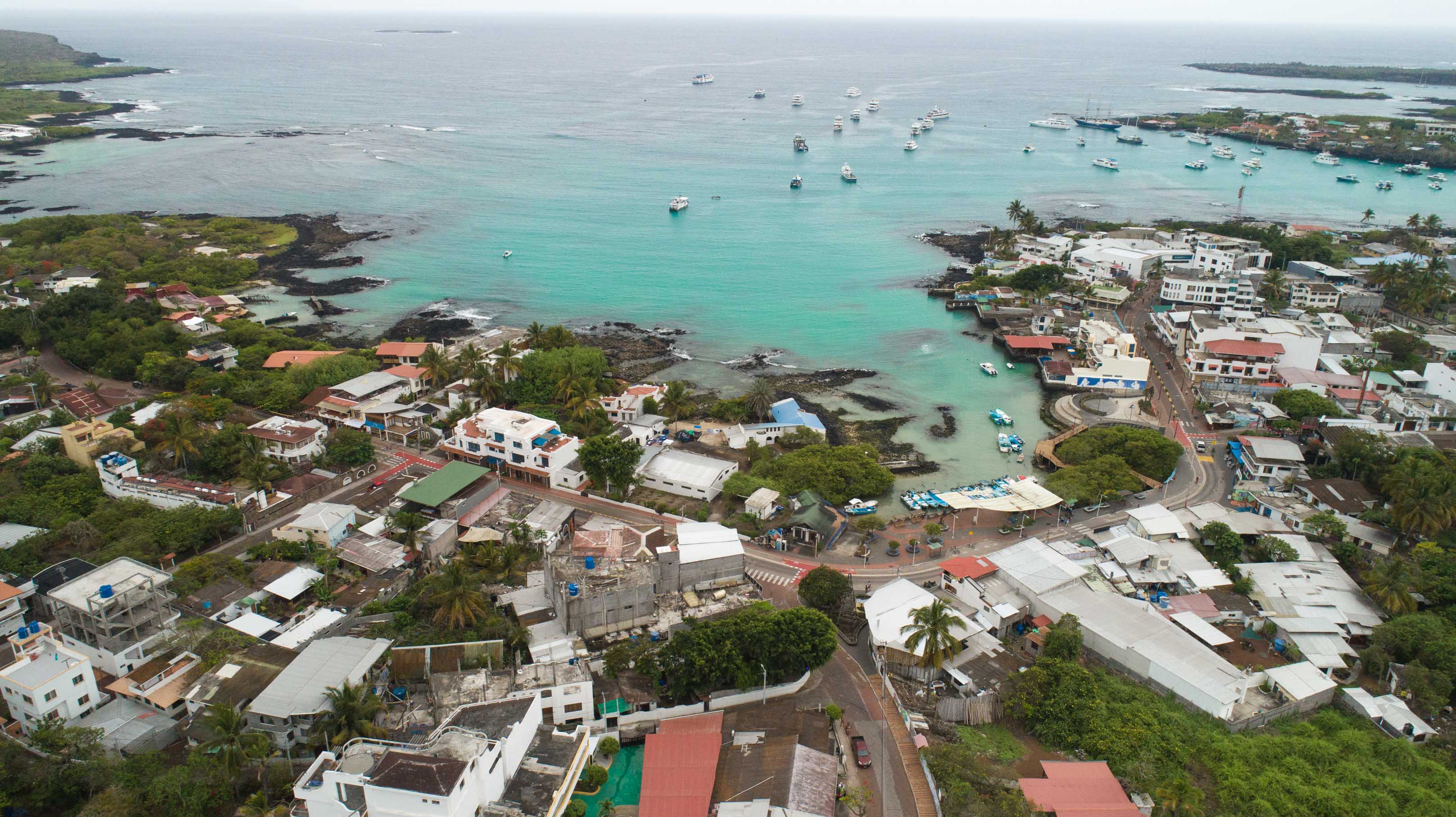 Galápagos Deep 2023 Expedition – Exploring the biology, geology and ...