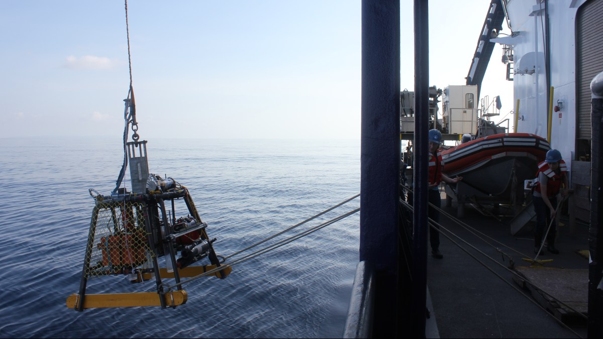Processing of samples: Sediments and coring of the deep seafloor ...
