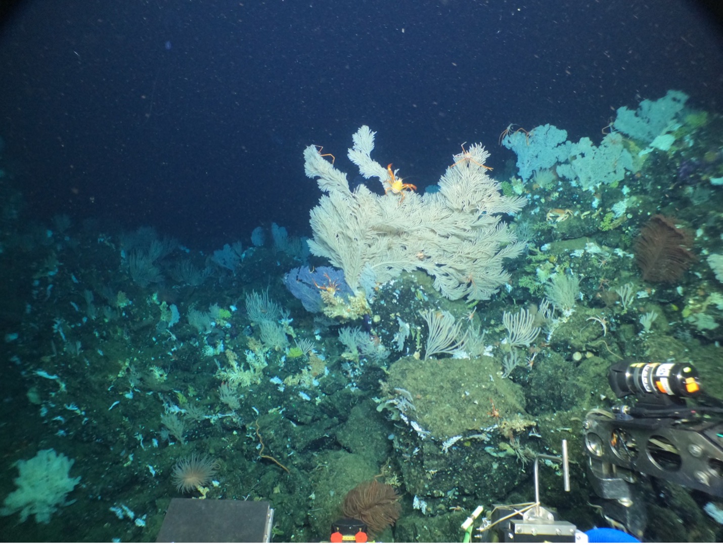 It’s the first day of science: How did everything go? – Galápagos Deep ...