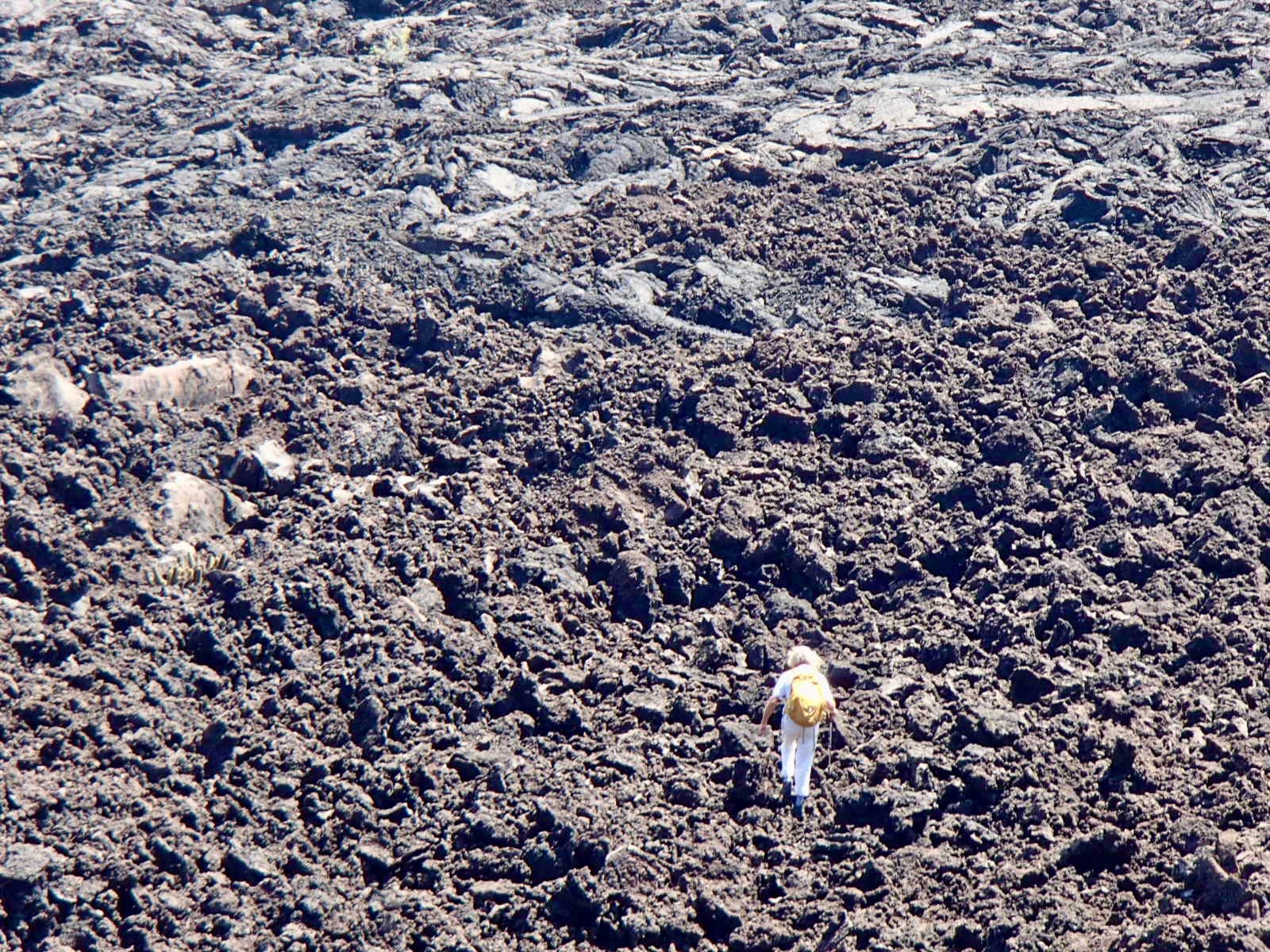 Galápagos Volcanoes Above and Below the Waves – Galápagos Deep 2023 ...